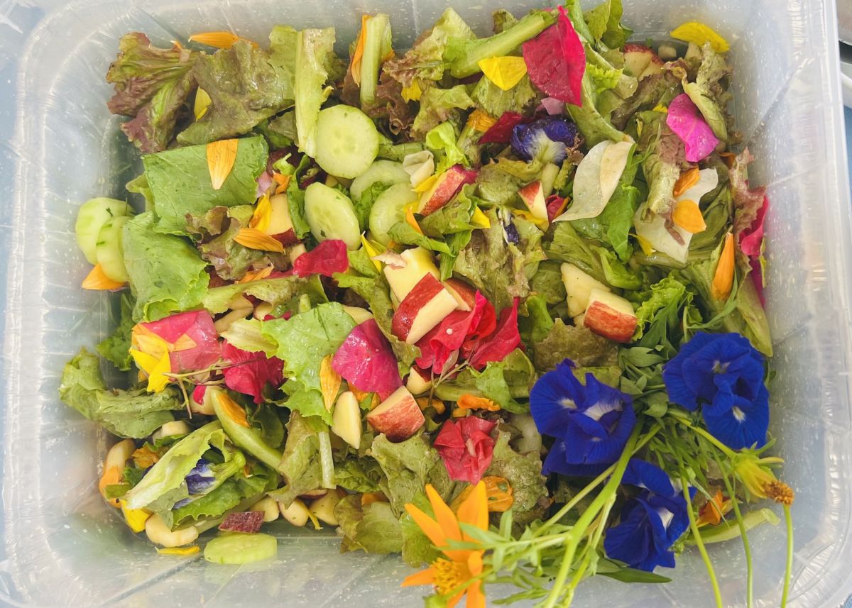 From FMDS Perma G.A.R.D.E.N. to Table: A Bountiful Feast of Freshness ...