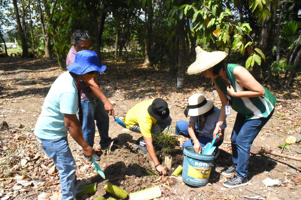 UPOU-FMDS Tree Planting Initiative Marks Earth Day Celebration ...